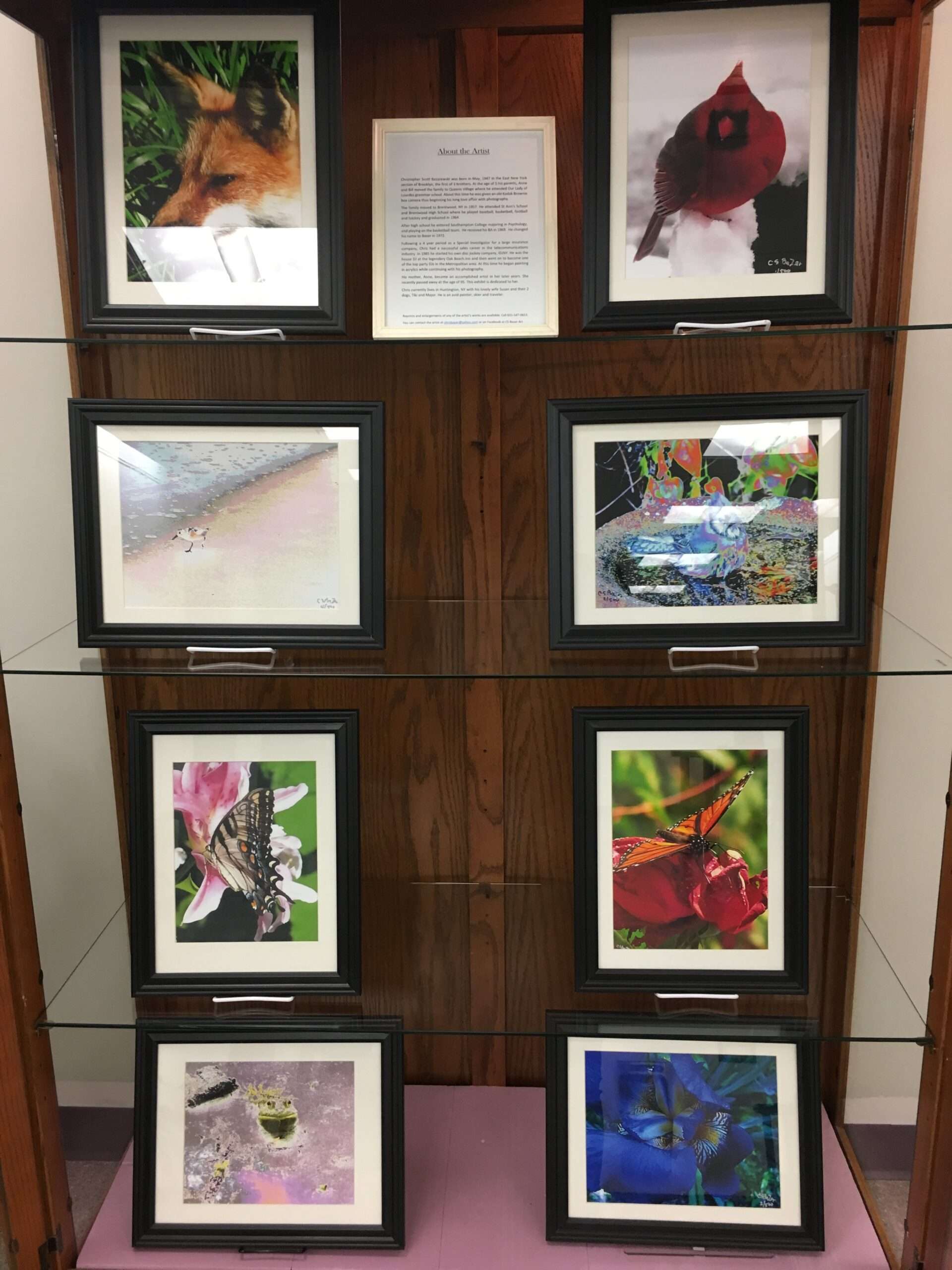 ARCHIVED 2018: “Essence of Nature: Photographs by Chris Bazer” Now on ...